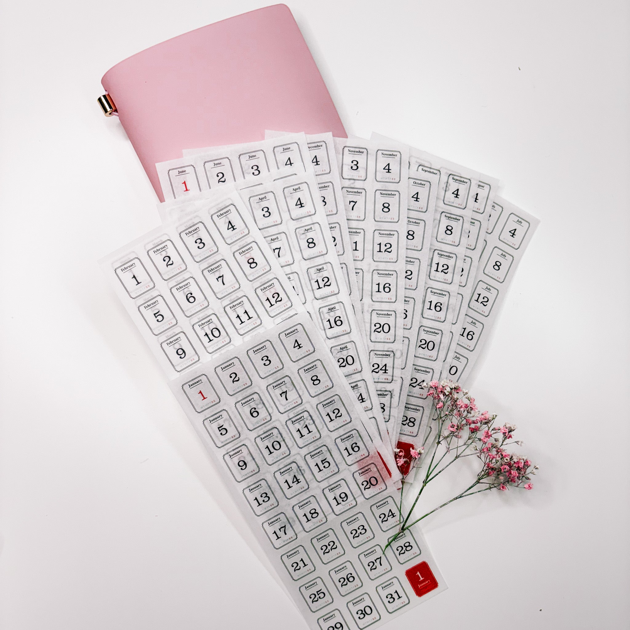 Yearly Stickers - 12 Months -12 sheets - Transparent – theroseylifeplanner